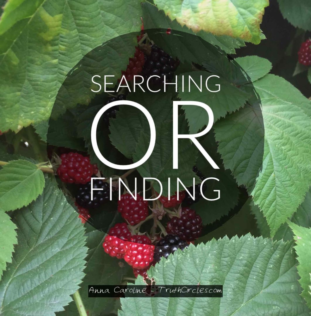 Searching Or Finding That Is The Question Truth Circles